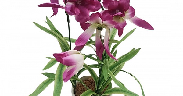 Ορχιδέα μωβ σε κεραμικό κασπώ 29εκ.